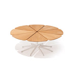 Richard Schultz Petal Coffee Table