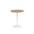 Richard Schultz Petal Side Table