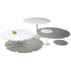 Richard Schultz Petal Dining Table